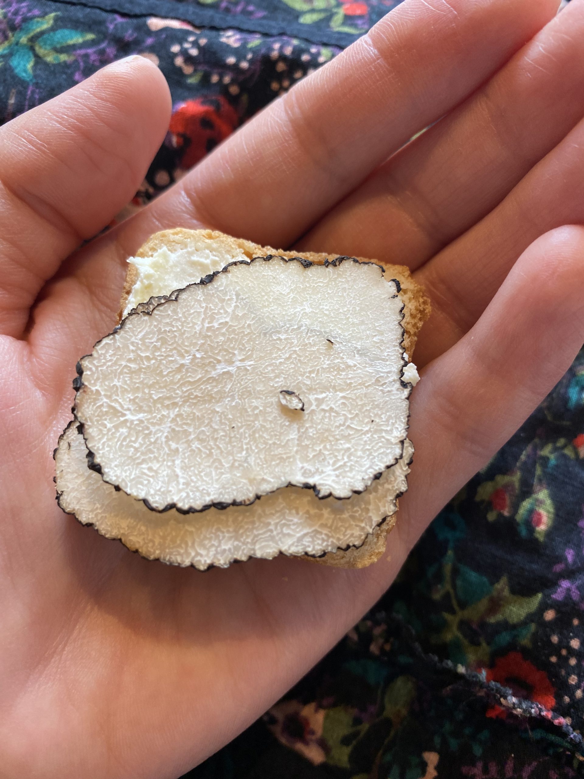 Truffle Hunting in Provence | Family Meals in Heels